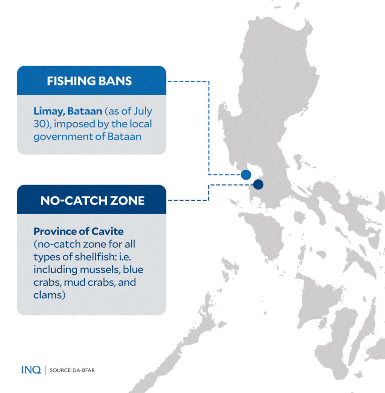 Explainer: Manila Bay oil spills’ harm on fishing, environment, public ...