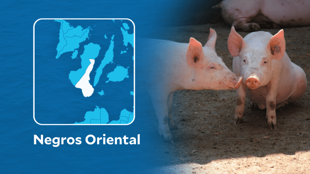 3 Negros Oriental LGUs record zero ASF cases