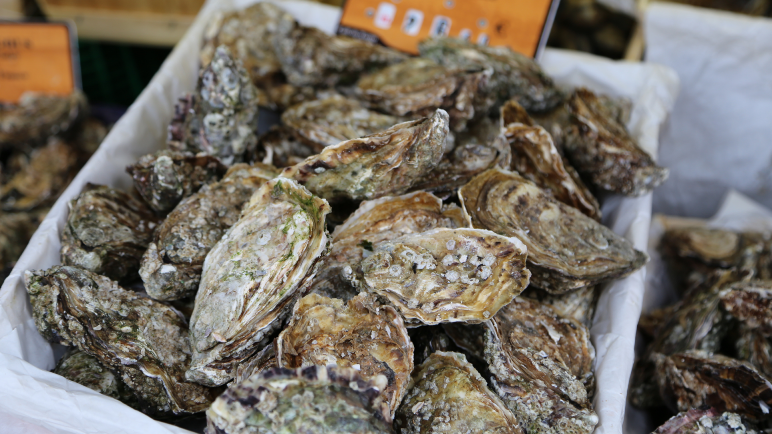 Red tide warning up in Leyte town; alert lifted in 3 other areas