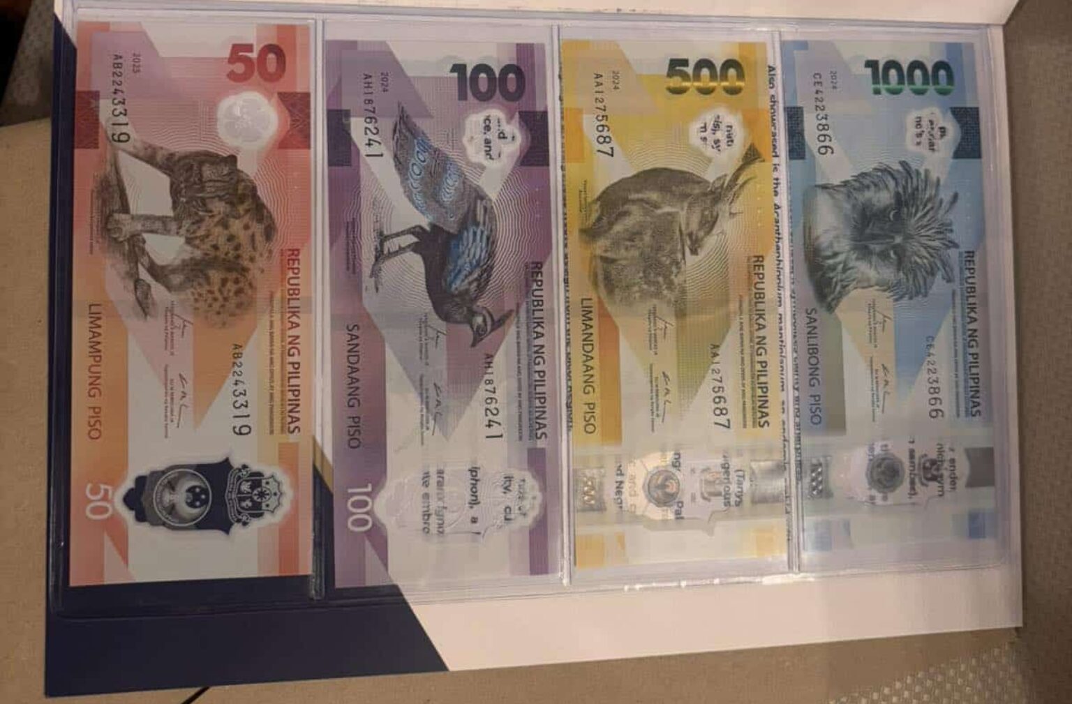 COA: BSP spent P5.95B for new peso banknotes