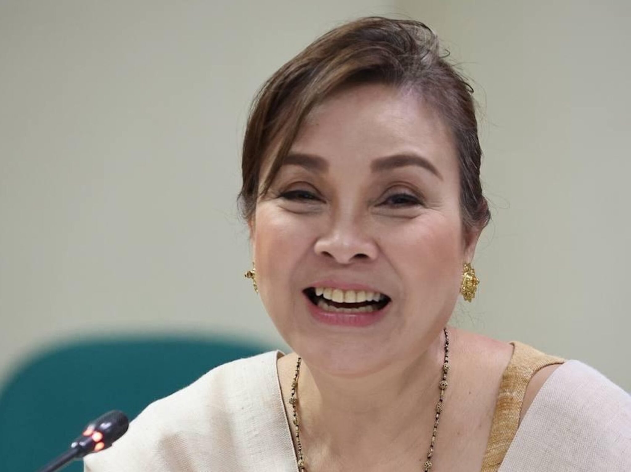 Sen. Loren Legarda shares highlights of legislative work in 2024