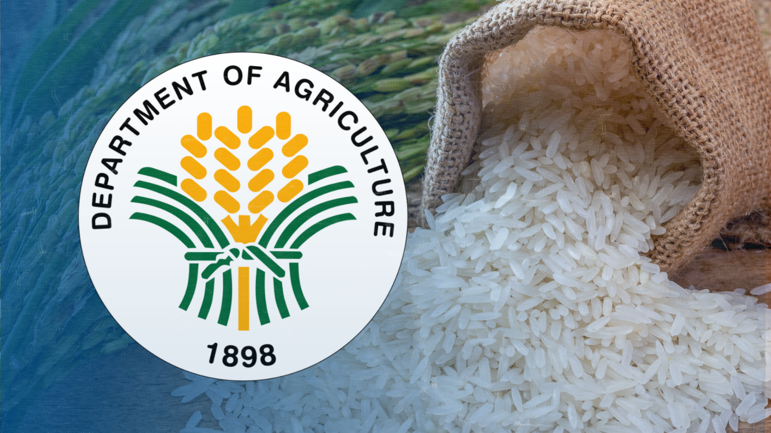 DA aims lower rice prices by setting maximum SRP for prime grains