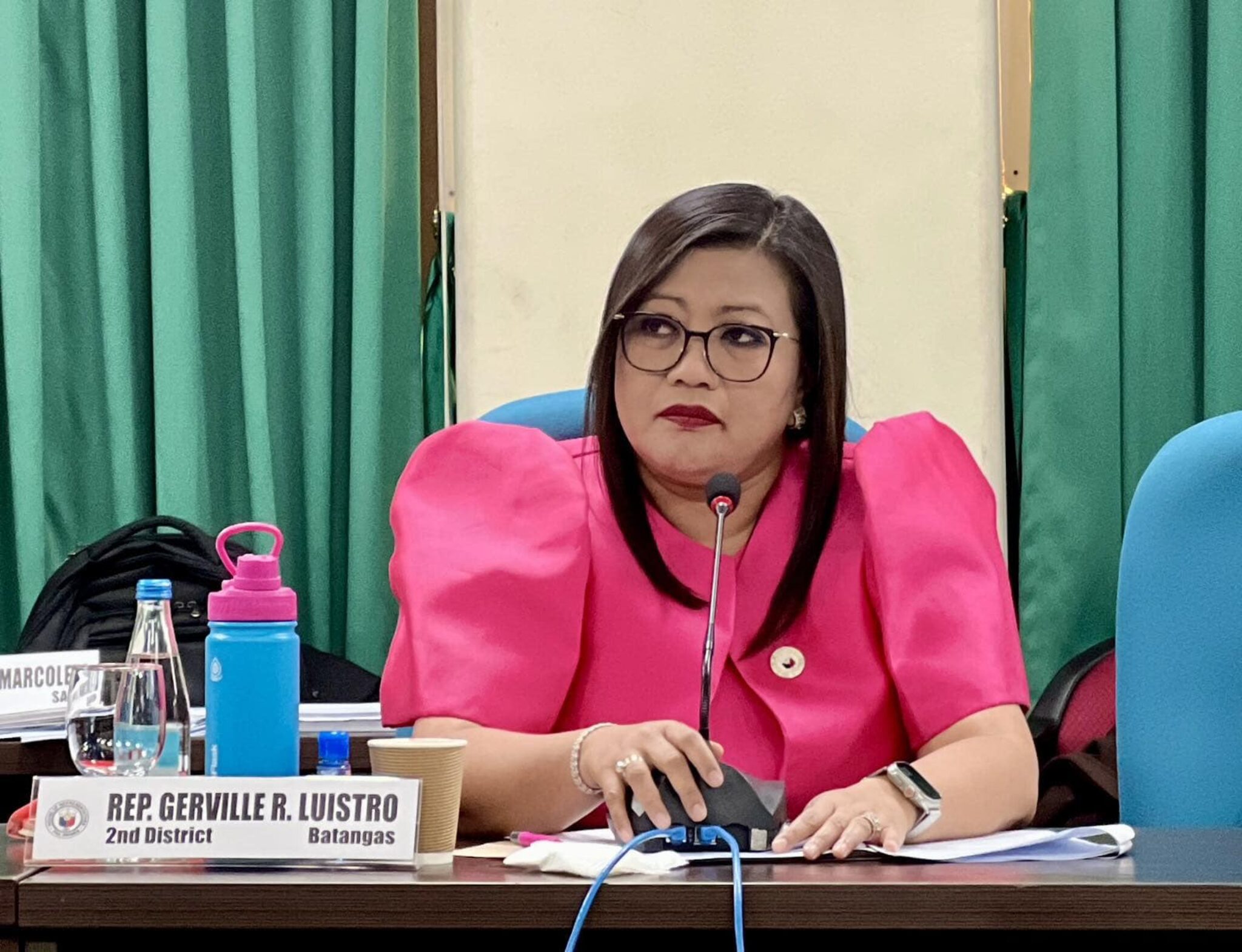 The House panel that will prosecute Sara Duterte: A brief glance