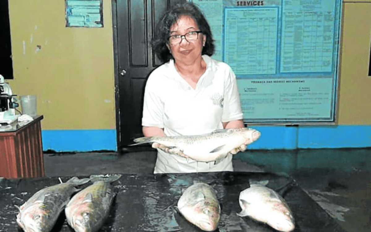 Looking for ‘ludong’ in Abra River