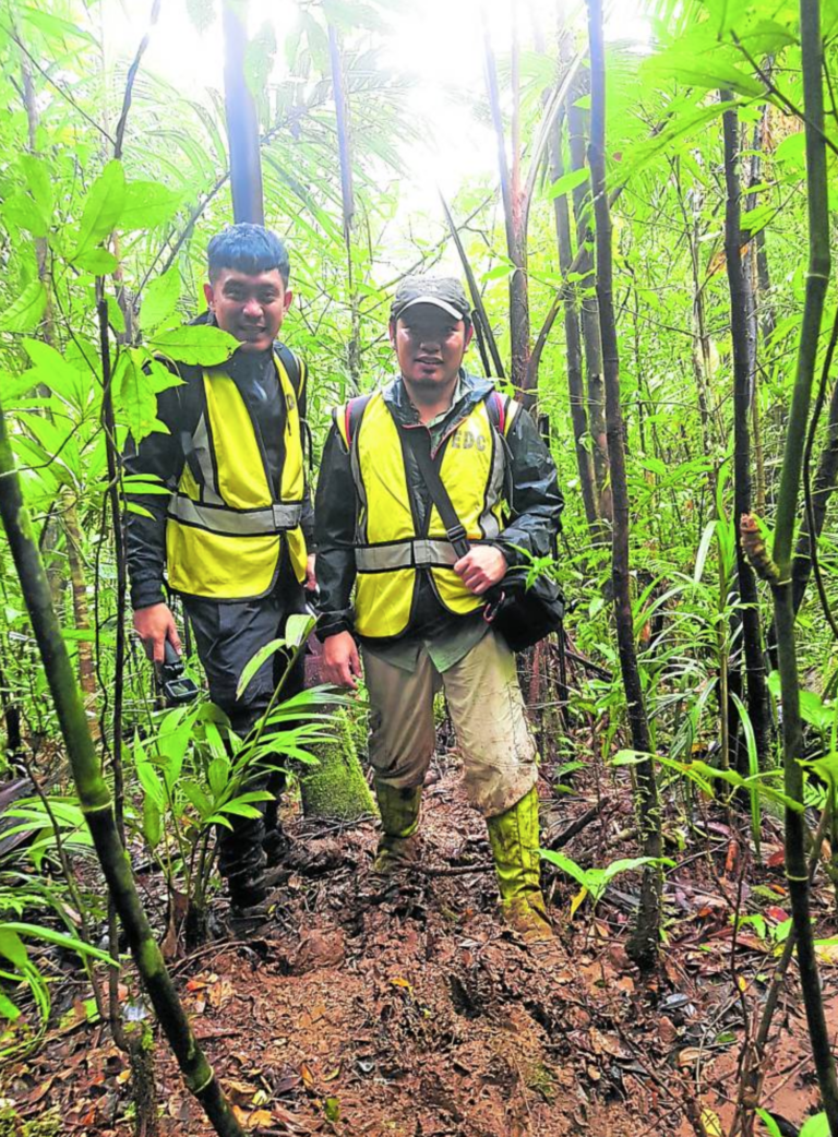 Where ‘baboy damo’ can still roam wild and free