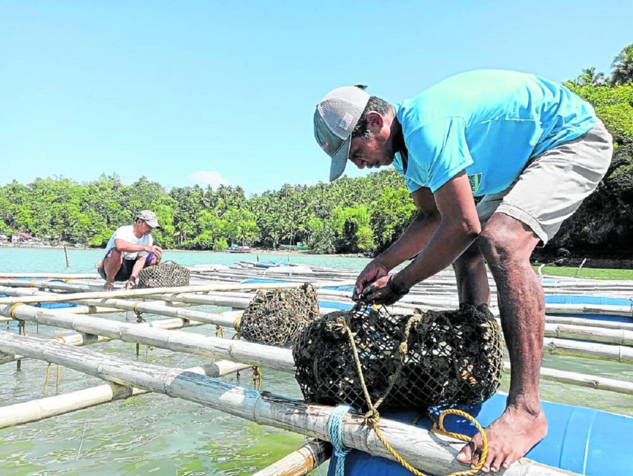 Daram Island in Samar cleared of red tide