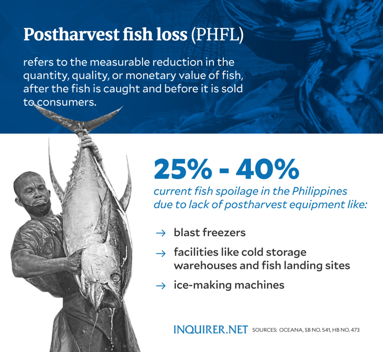 Wasted catch: The hidden crisis of fish loss in Samar Sea