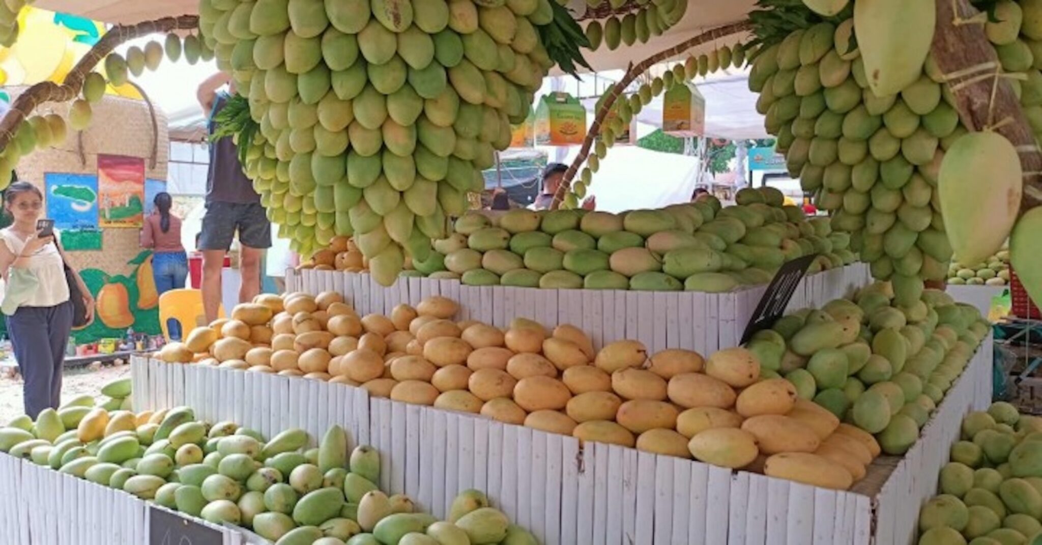 13 tons of Guimaras mangoes await visitors of Manggahan Fest