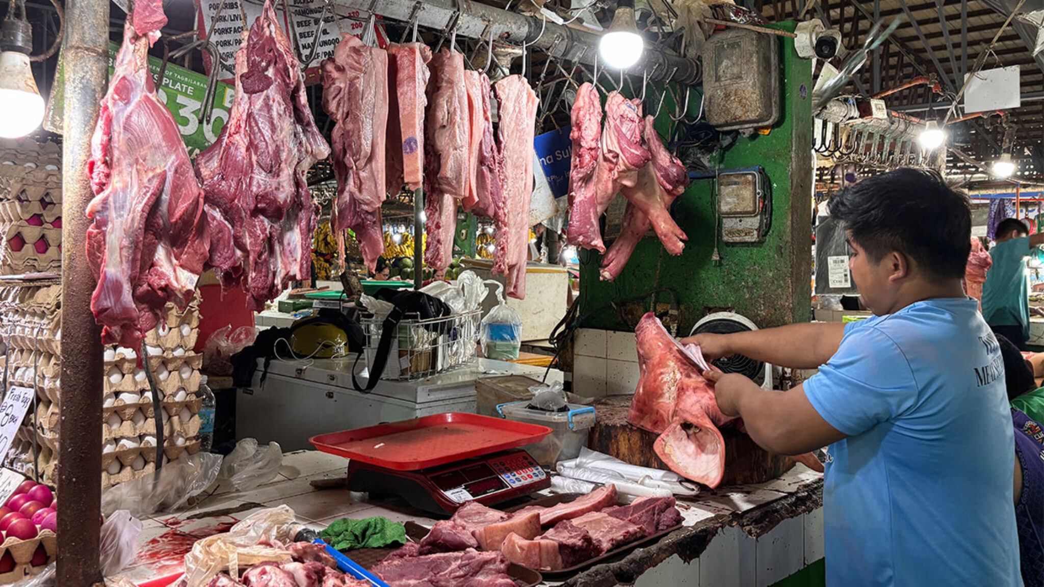 Bohol eases ASF restrictions, opens borders to pork products