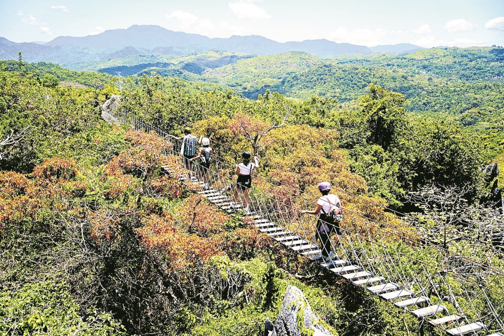 Healing the land by restoring ecosystems