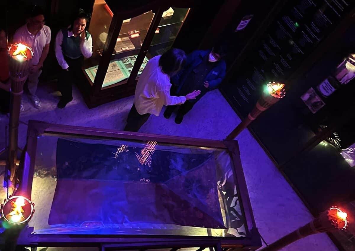 Aguinaldo kin honor PH flag used in 1898 freedom rites