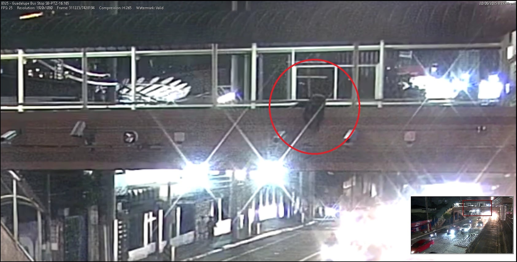 Cables stolen from NCAP cameras in Guadalupe — MMDA