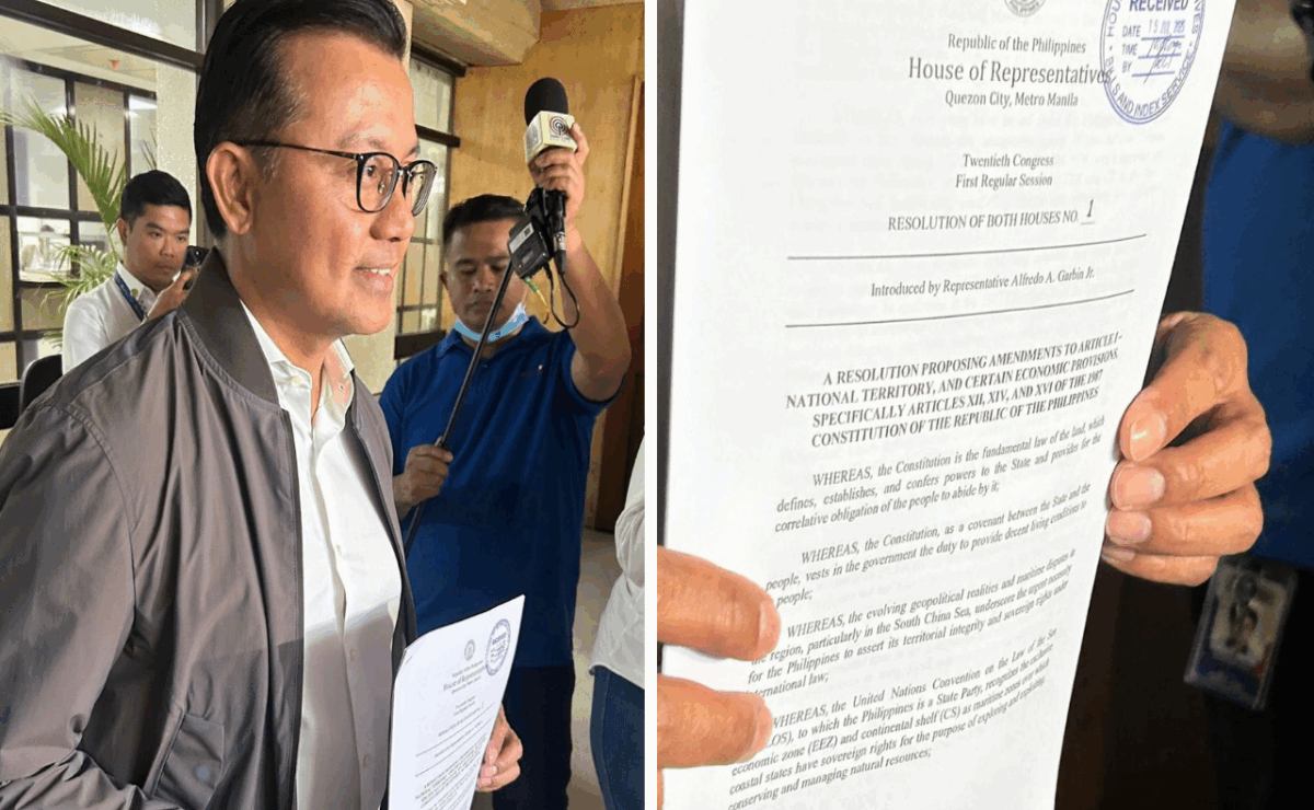 Cha-cha: Changes to territorial, economic provisions pushed