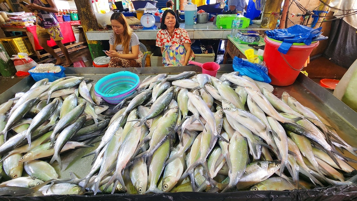 Murky river water threatens ‘bangus’ ponds after floods