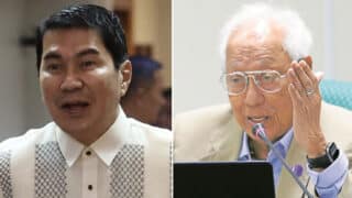 No antidynasty law? 1 of 2 Tulfos in Senate blames provision