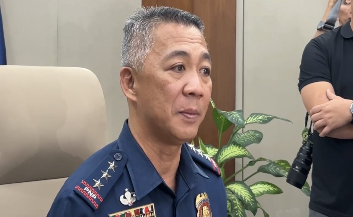 Napolcom to affirm Nartatez as acting PNP chief