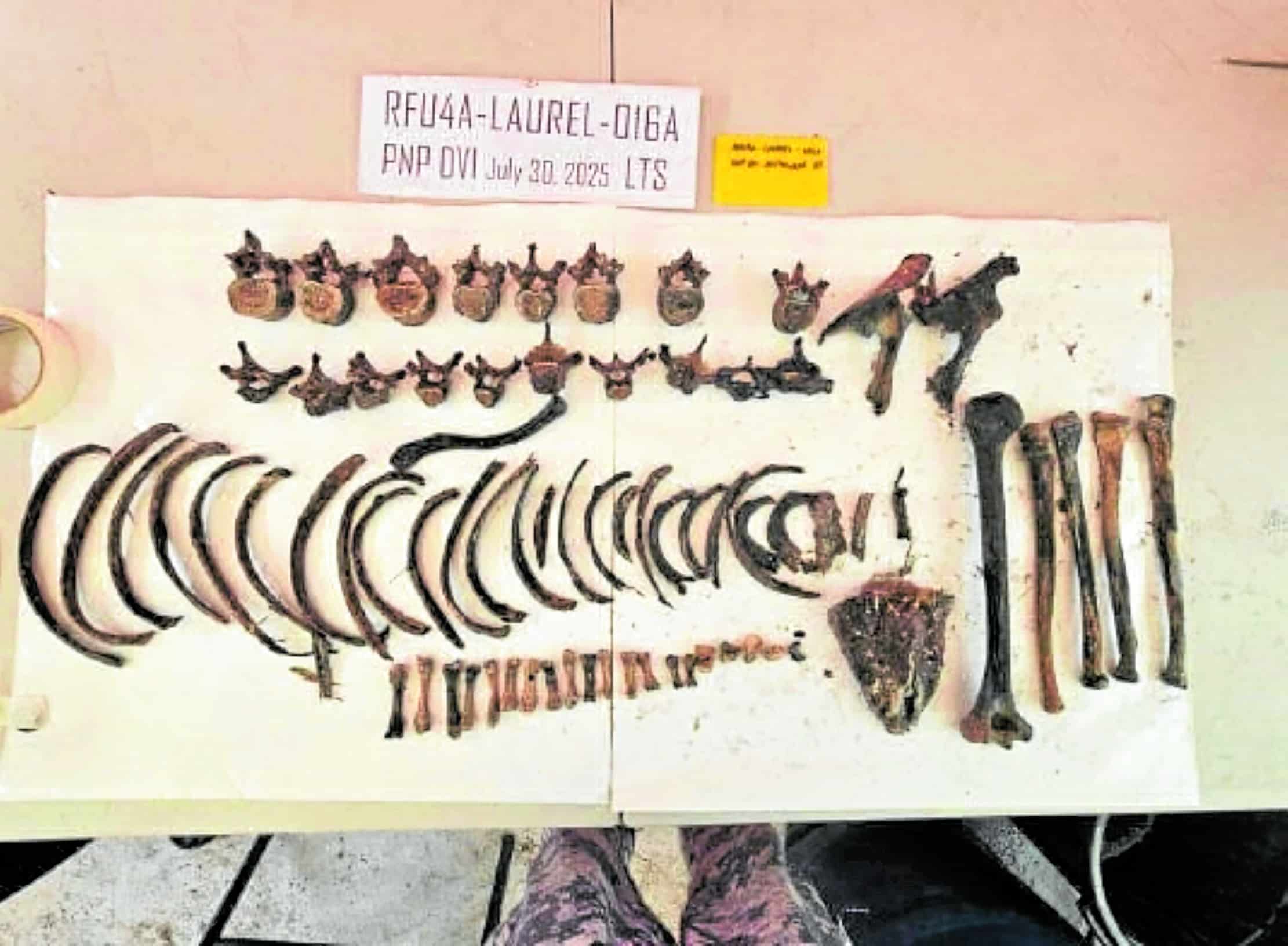 ‘Sabungeros’ case: Forensic experts from UP, Japan asked to help