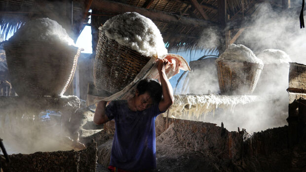 PCA plans to buy more salt produced in Pangasinan