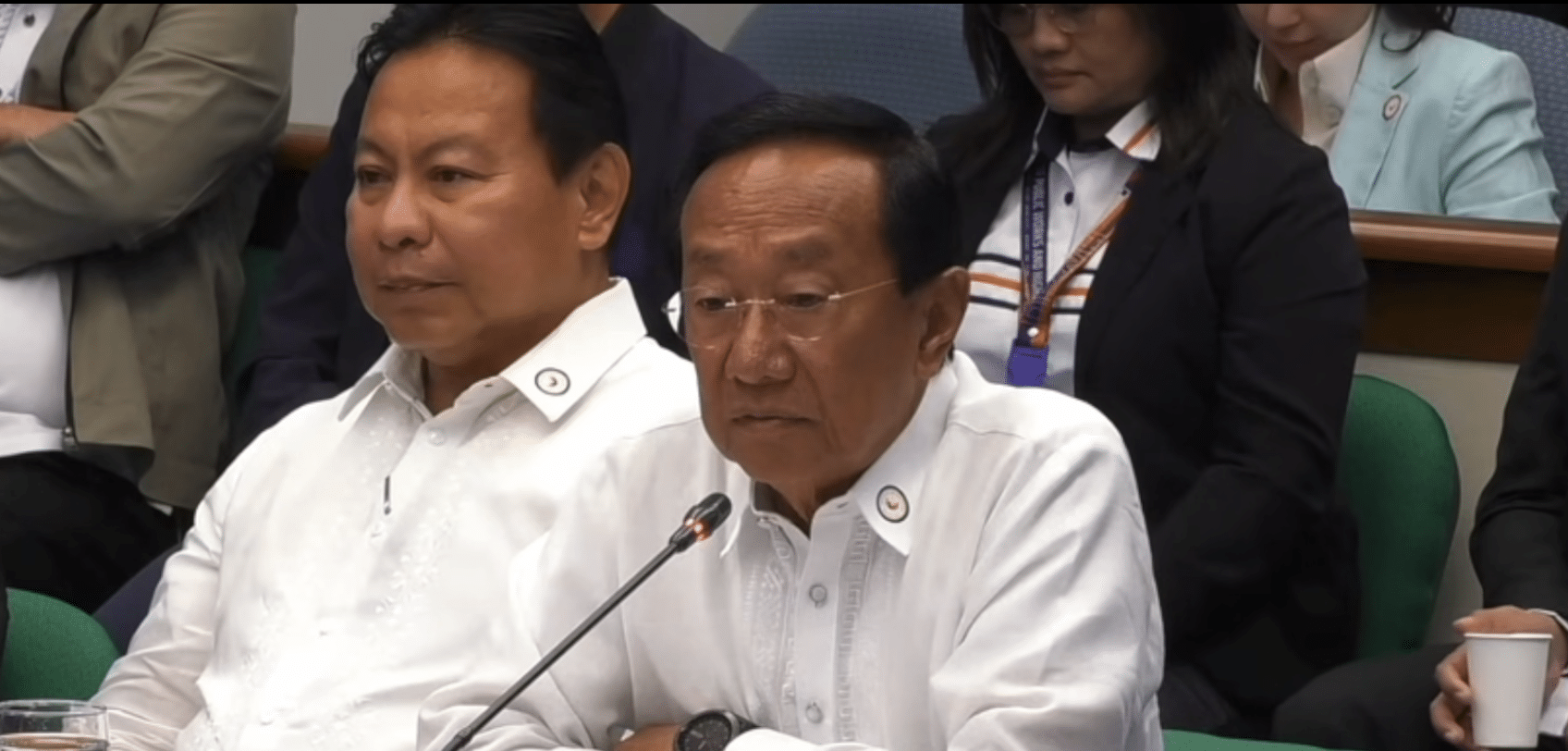 Ex-DPWH chief Bonoan bares 'leadership fund' in NEP