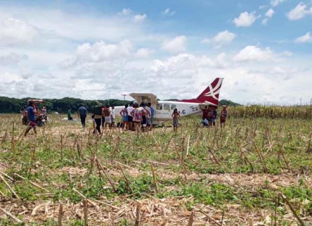 Light plane makes emergency landing at Isabela corn farm