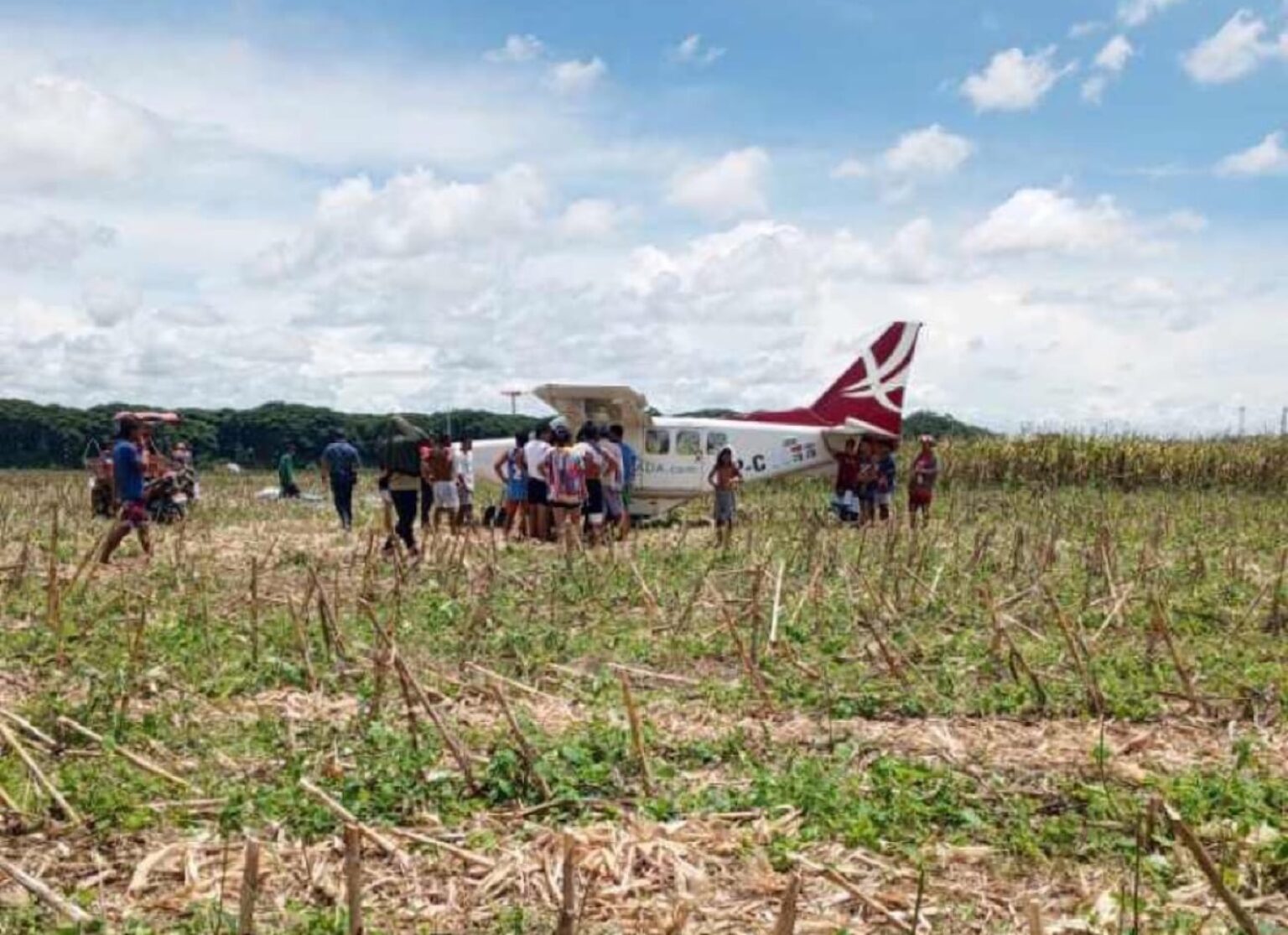 Light plane makes emergency landing at Isabela corn farm