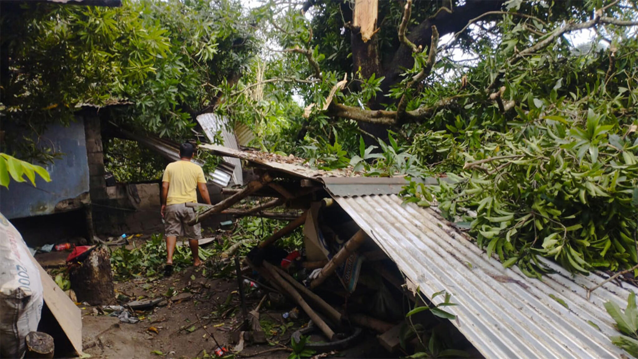Waterspout uproots trees, damages houses in Zambales town