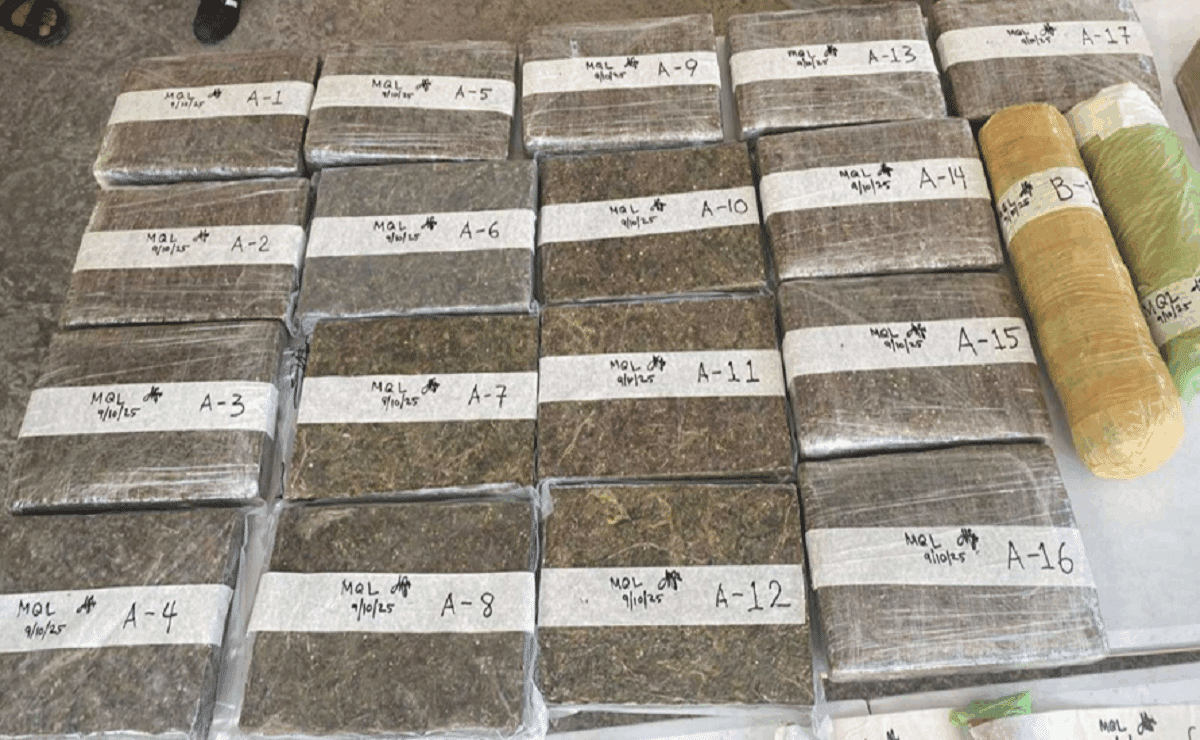 P12M marijuana turned over by student in Davao City