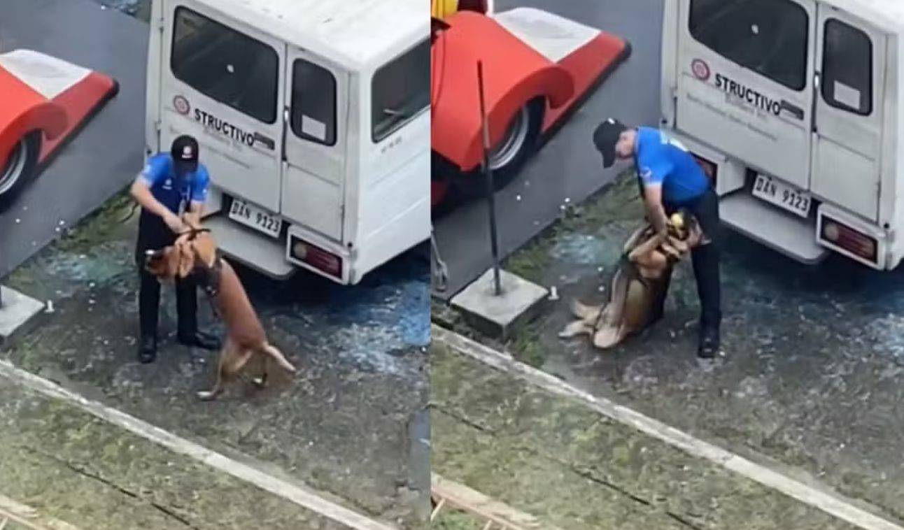 K9 handler caught mistreating dog fired from job