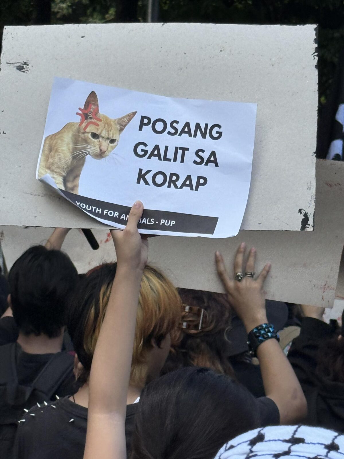 ‘Ilublob sa baha’: The power of Filipino humor against corruption