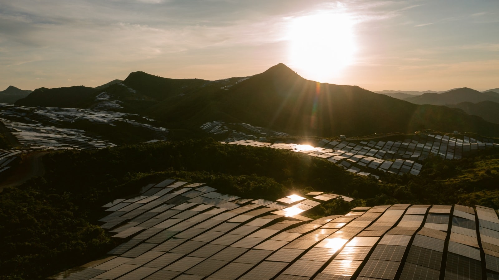 Wine is sunlight, held together by water