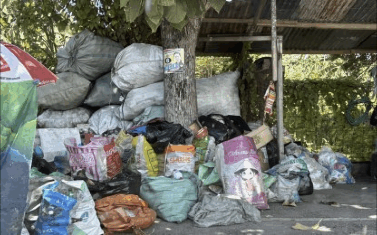 Group urges Dumaguete to provide space for waste segregation
