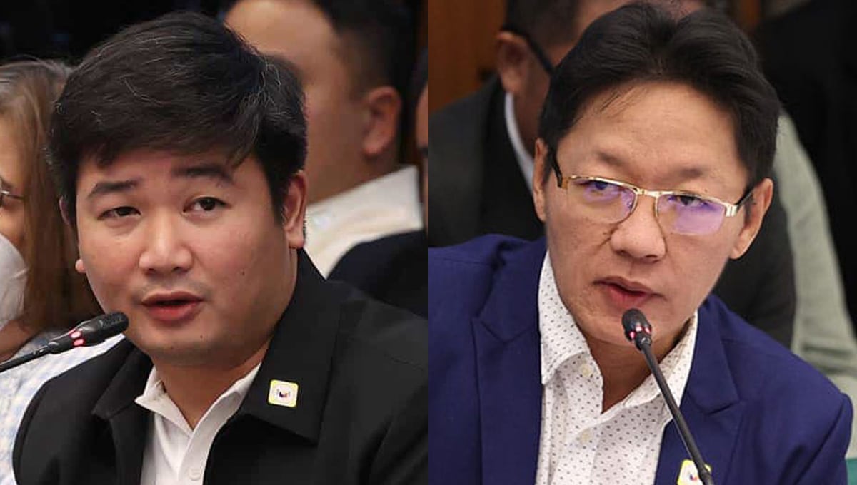 Hernandez, Discaya back in Senate detention