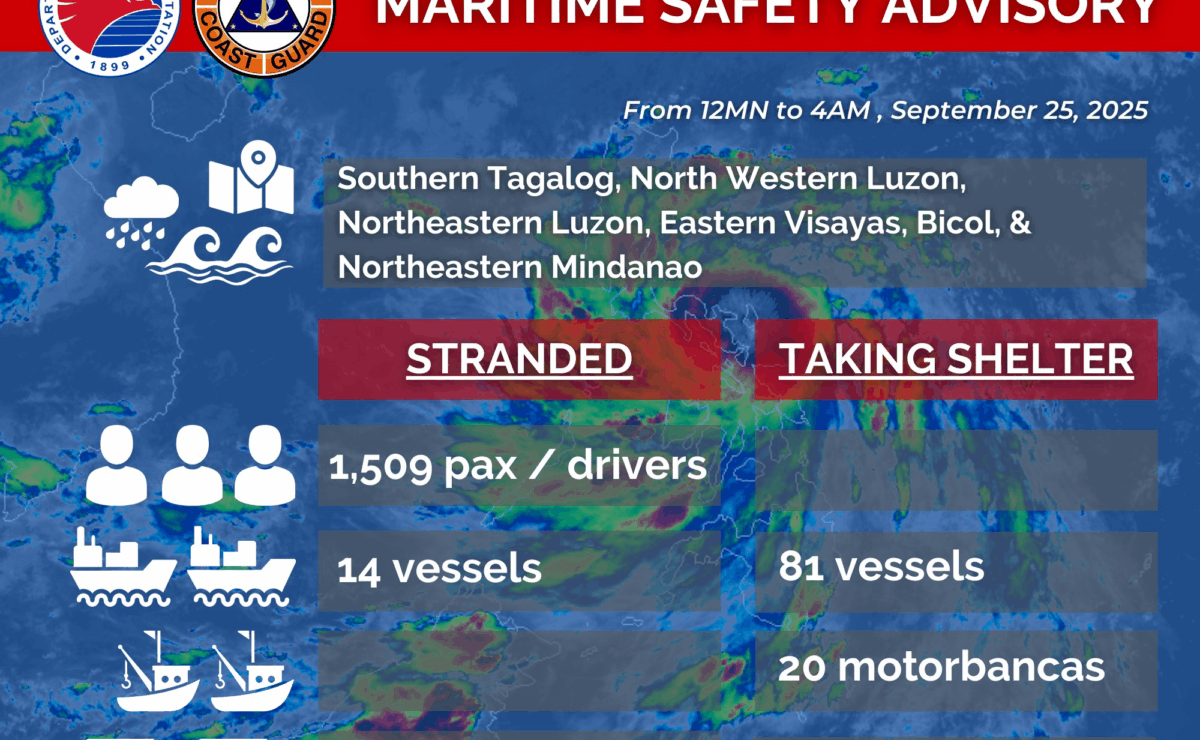 Dizon: Blacklisting of Discaya firms already in motion