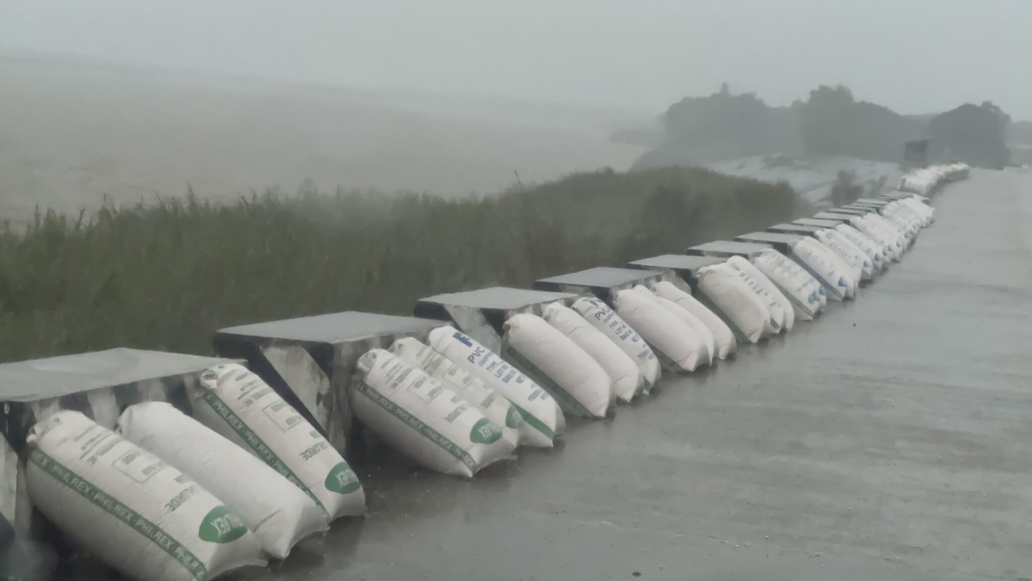 Typhoon Paolo downs trees, cuts power across Cagayan Valley
