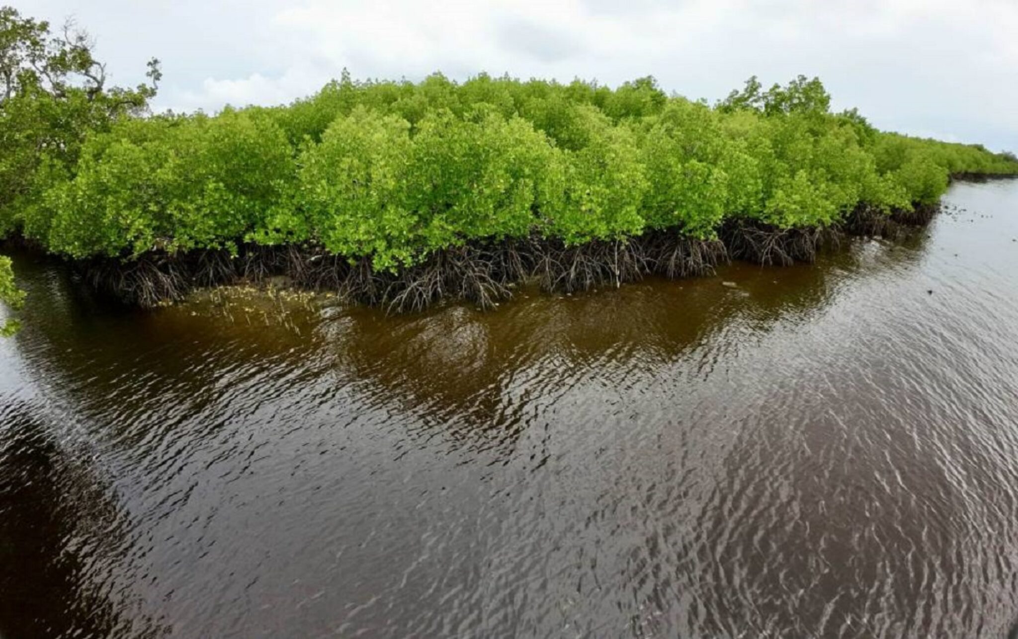 Waste spill at protected Tañon Strait widens