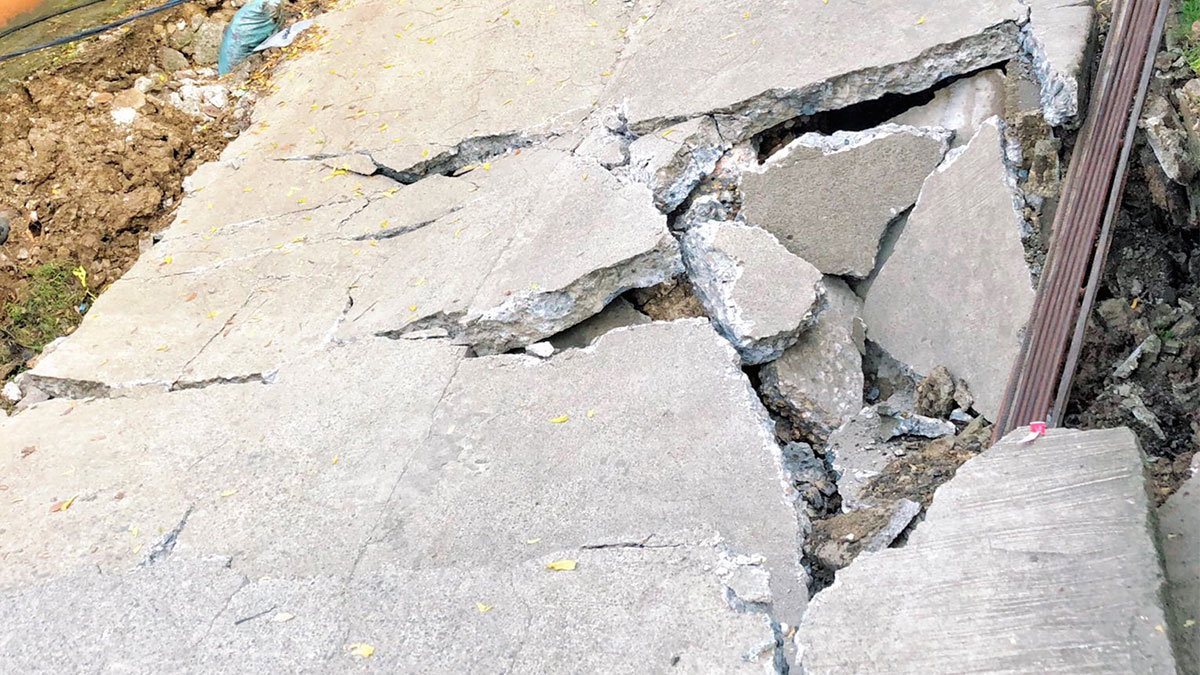 Cebu quake leaves P170 million losses in livestock, facilities