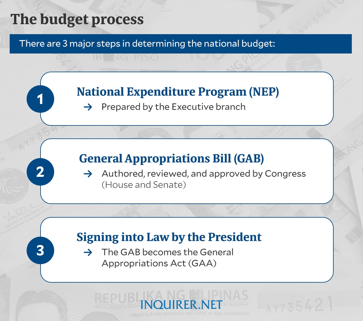 The PH budget process: Step-by-step visual guide