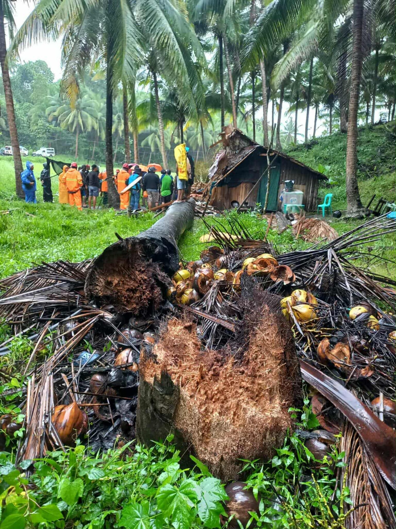 Quezon gov expresses grief over family crushed to death