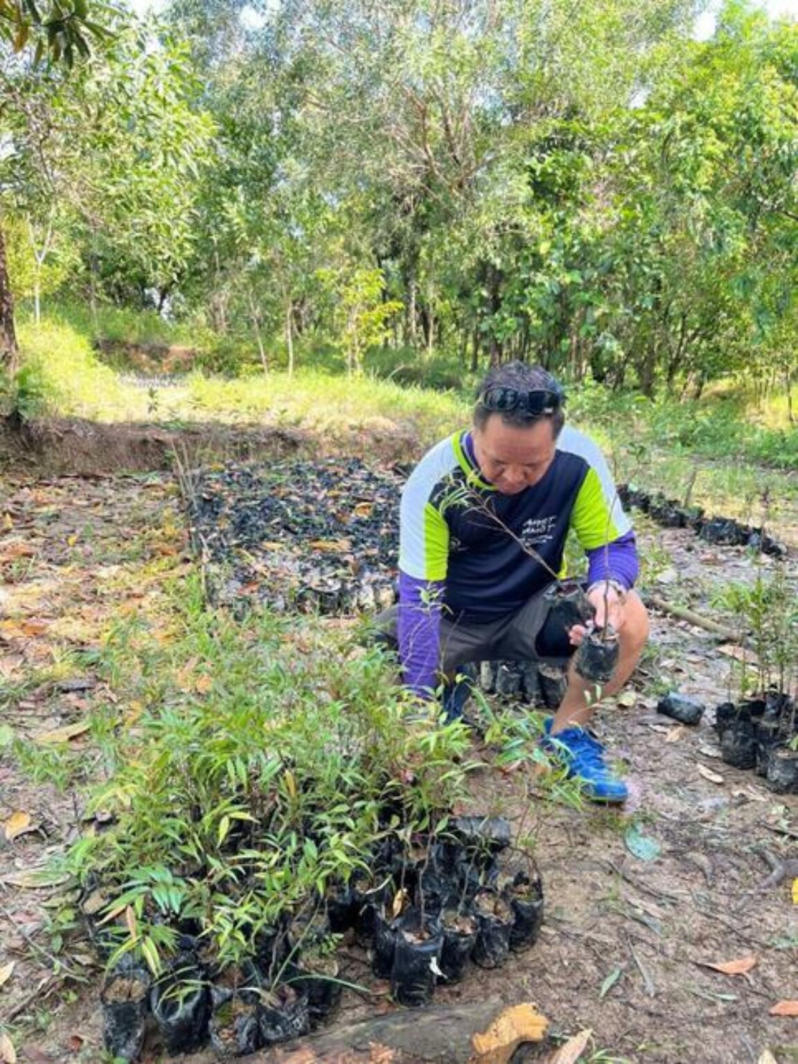 Boracay Water completes reforestation of Nabaoy watershed