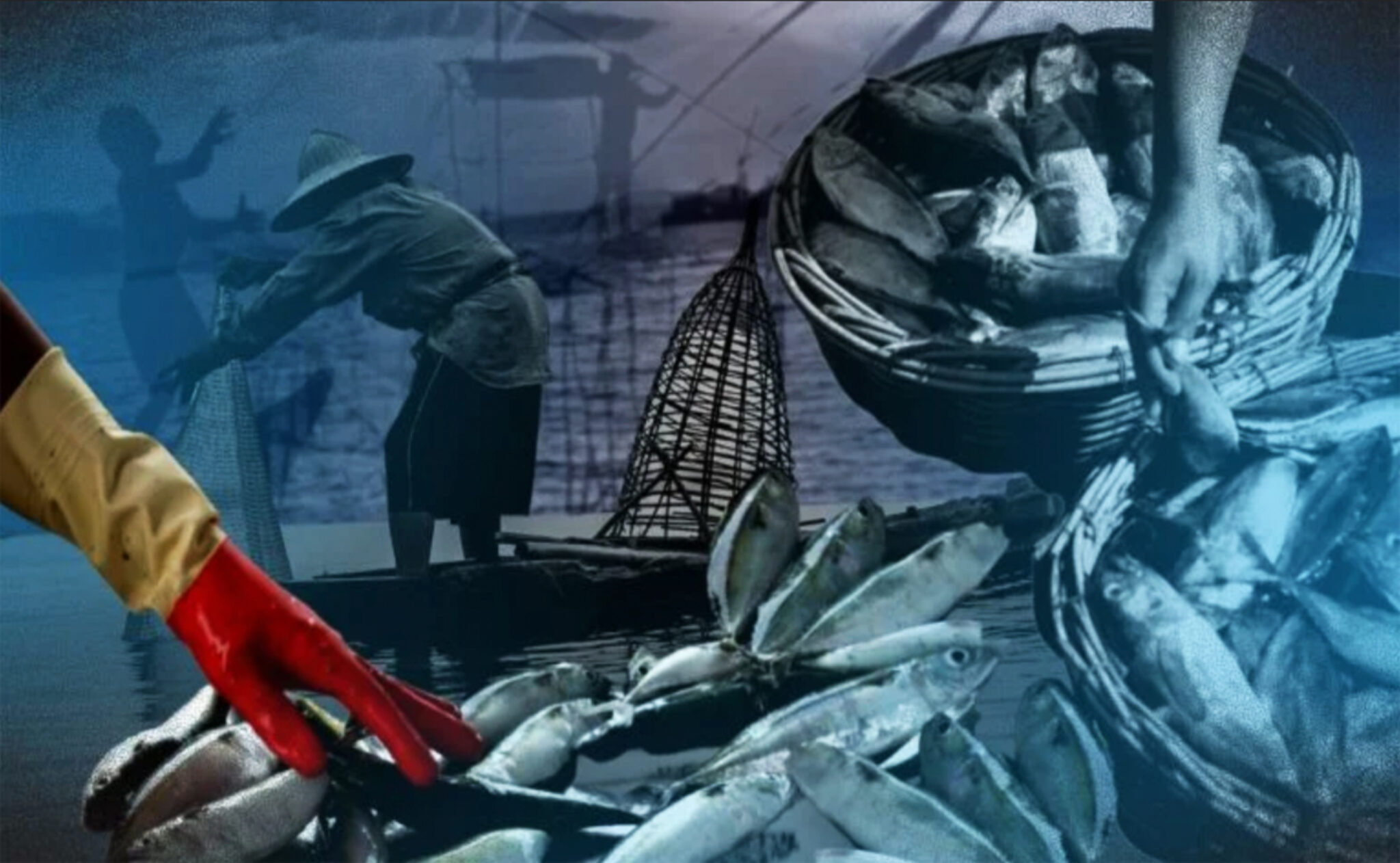 Batangas fishers oppose closed season, fear loss of livelihood ...