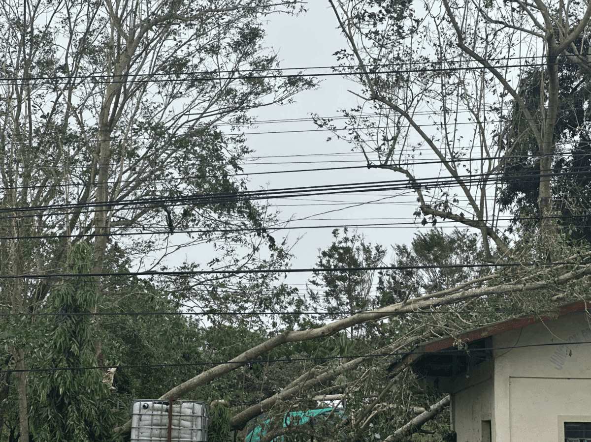 LOOK: Typhoon Uwan wreaks havoc in Isabela