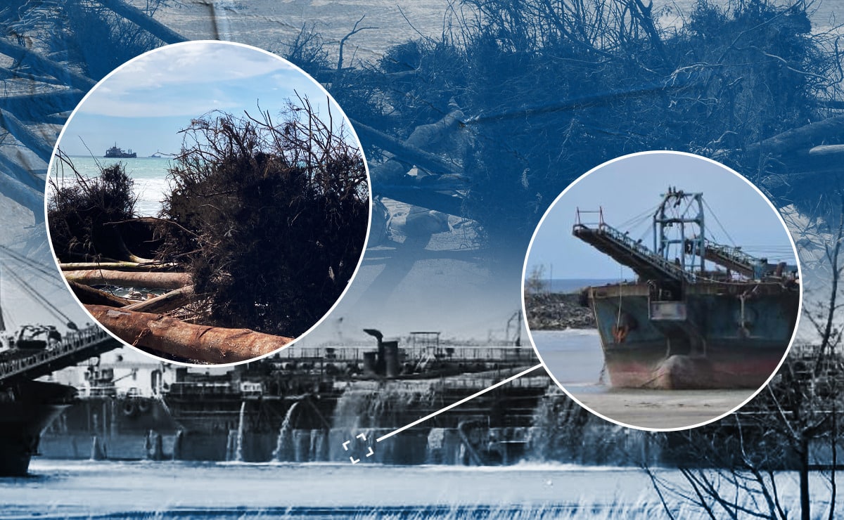 Zambales dredging blamed for uprooted trees, coastal erosion | Inquirer News