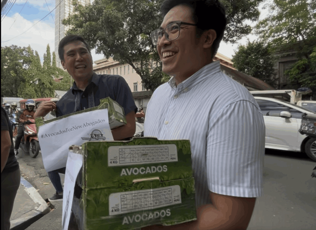 For law students, avocado is a symbol of survival during bar exams