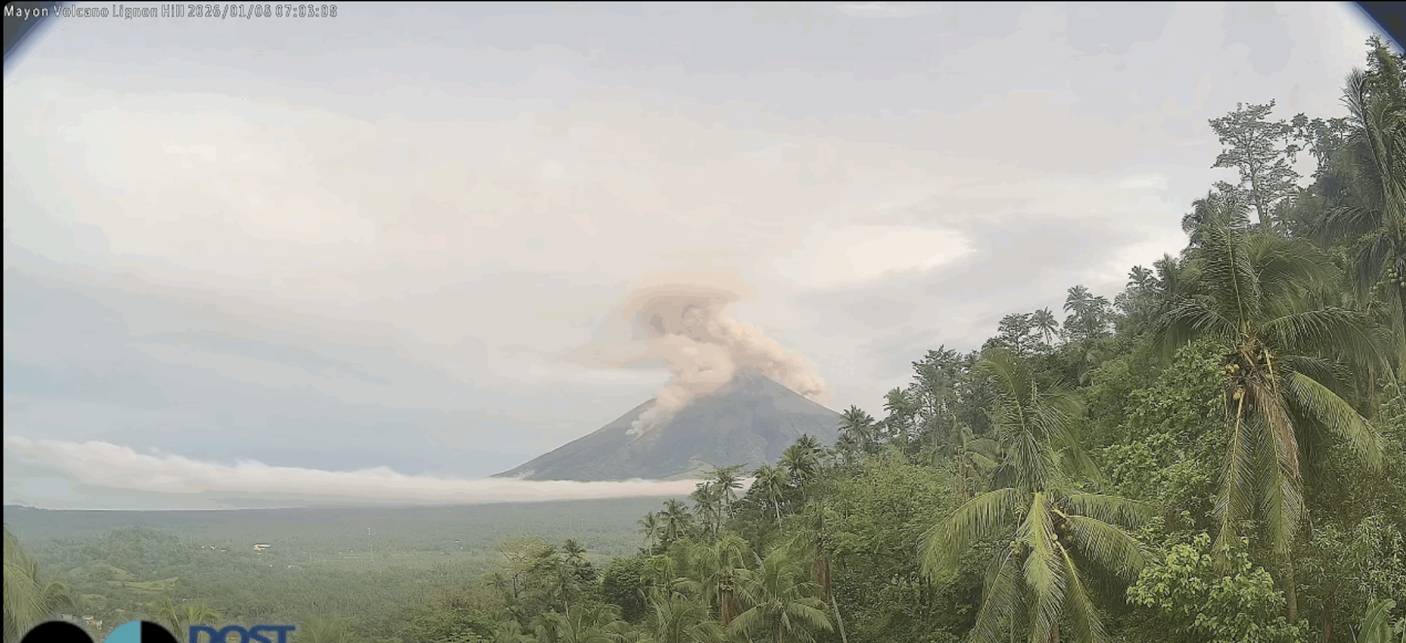1,000 families displaced by Mayon unrest got over P4.6M in gov't aid