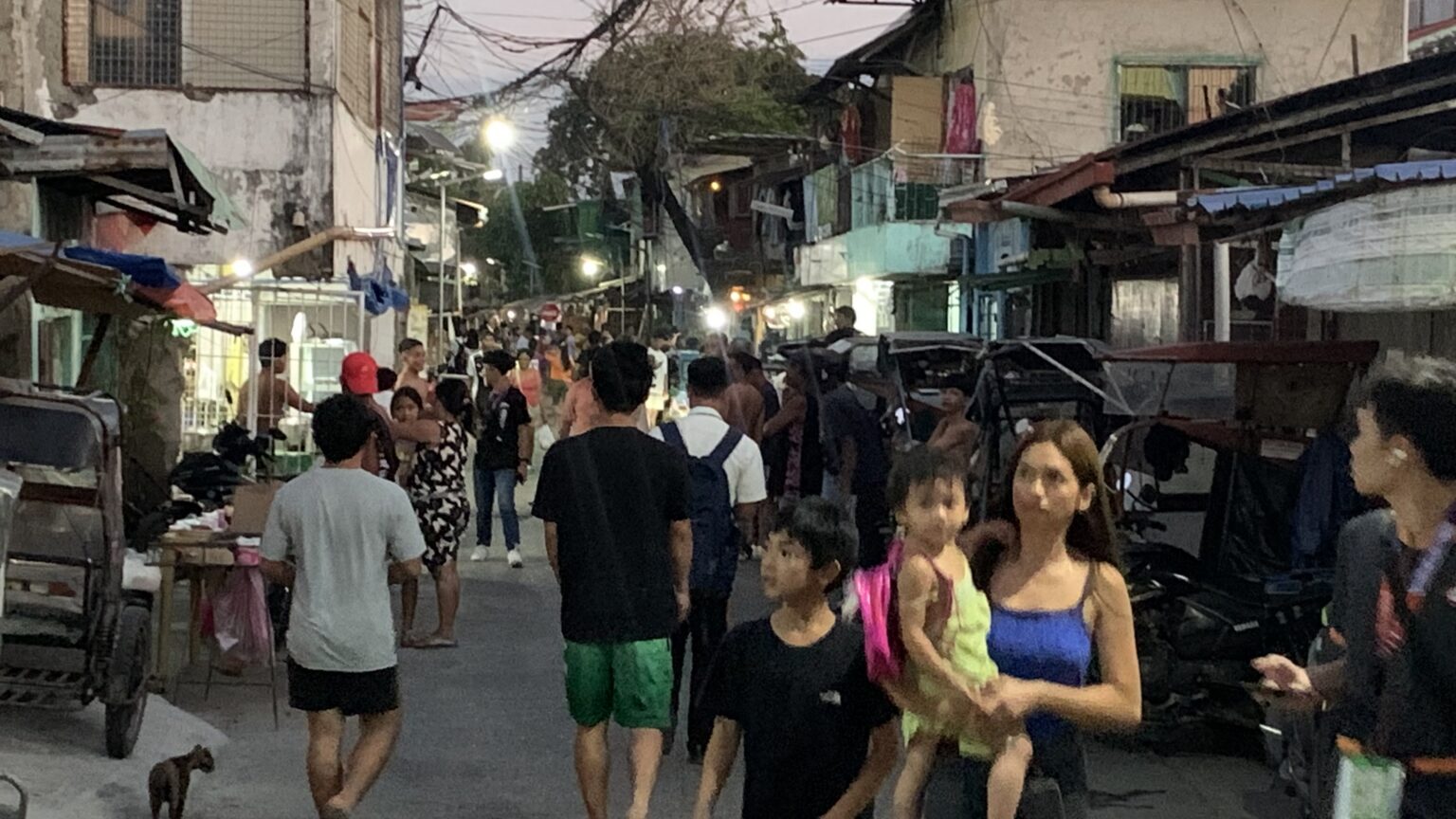 No major damage reported after 4.8-magnitude quake jolts Iloilo