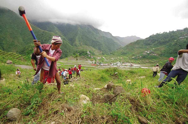 Ifugao ‘muyong’ seen answer to Philippine water shortage | Inquirer News